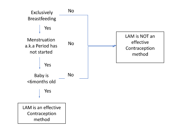 Breastfeeding as Contraception By Dr. Krishnapriya Loganathan – Gravid